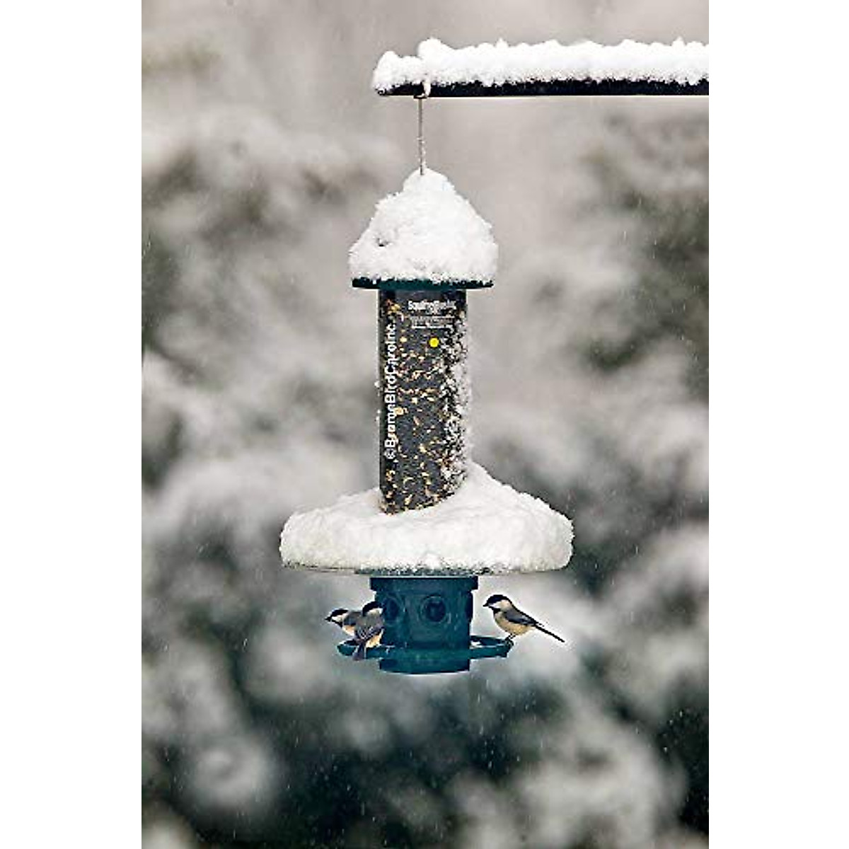 Weather Guard for Squirrel Buster Plus Bird Feeder (FEEDER NOT INCLUDED)