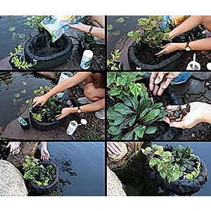 Aquascape Floating Island Planter for Ponds, Gardens, and Water Features | 89006