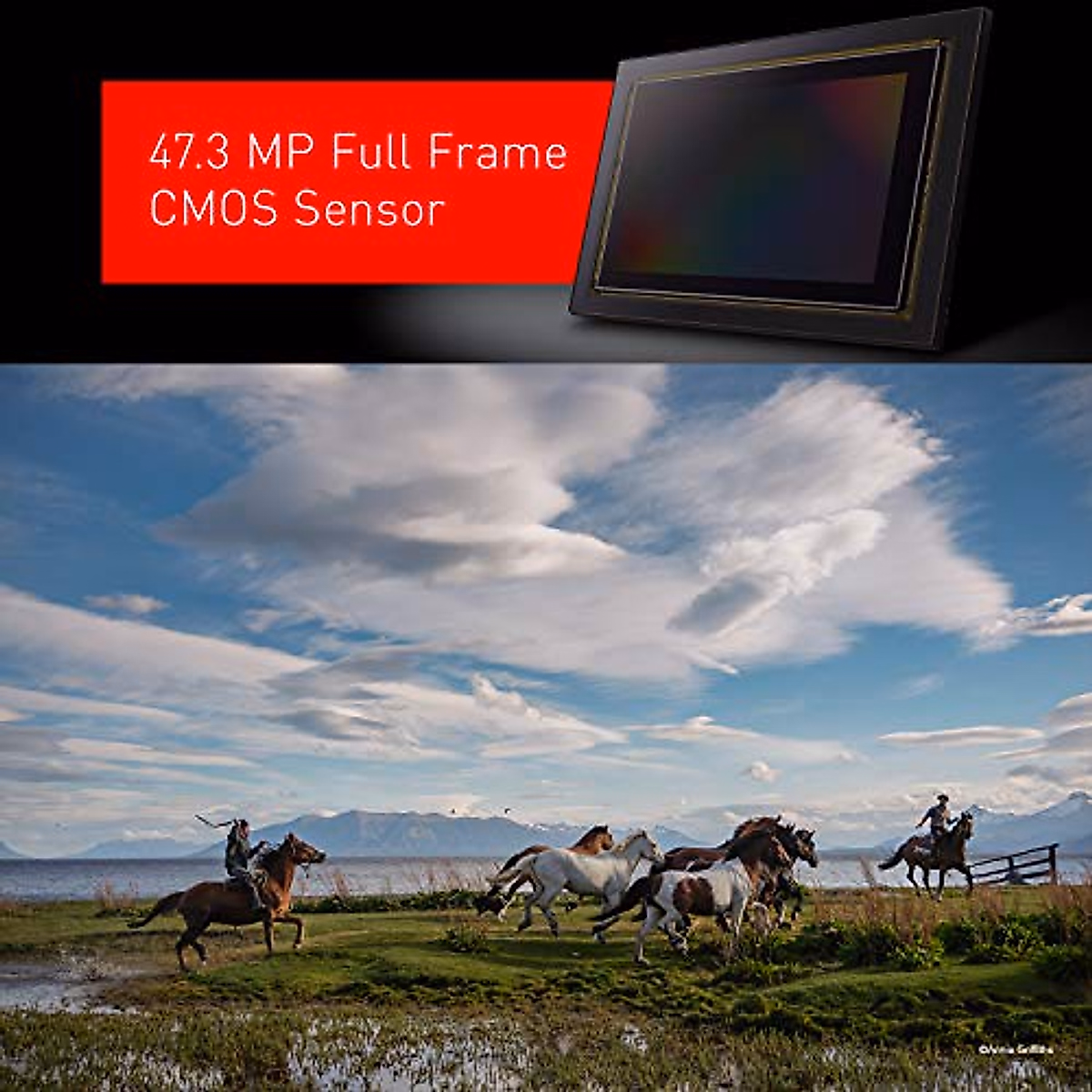 Panasonic LUMIX S1R Mirrorless Camera with LUMIX S 24-105mm f/4 O.I.S Lens - Open Box