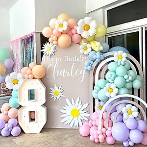 Beliueyes Daisy Balloon Garland Arch Kit 151pcs Light Purple Blue Cyan Yellow Blush Pink Balloons for Fall Bridal Shower Baby Shower Birthday Theme Party Decorations