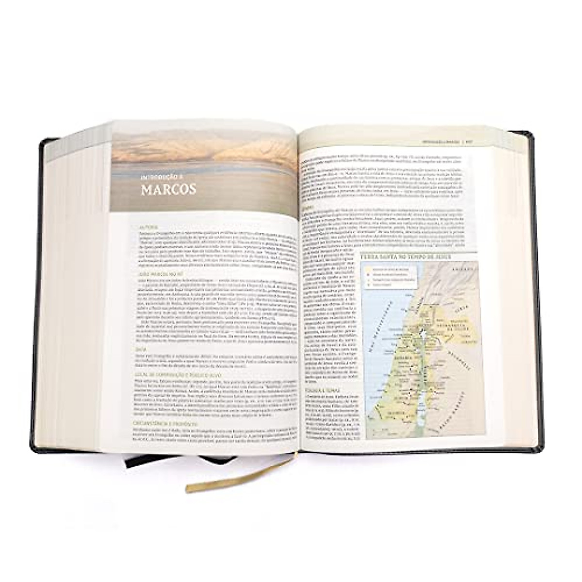 Bíblia De Estudo Thomas Nelson - Azul Encadernação de couro – 15 janeiro 2023…