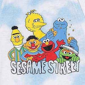 Sesame Street Baby Boys 2 Pack Zip-Up Long Sleeve Sleep N' Play Coverall 18 Months Red/Blue