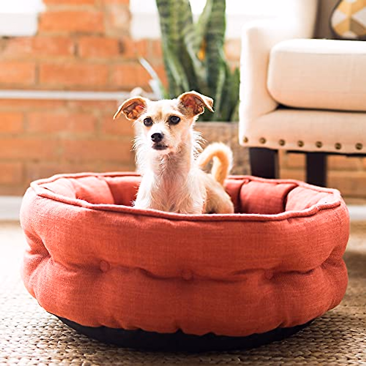 Petmate La-Z-Boy Ginger Cuddler Dog Bed, Paprika, 22" x 22"