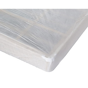 ActiveGuard Mattress Liner Bed Bug (Queen)