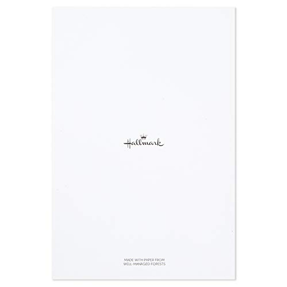 Hallmark 5EDX8610 Assorted Blank Greeting Cards (Cheerful Designs, 12 Cards and Envelopes)