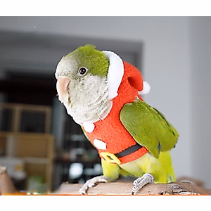 Bird Clothes Birds Flight Suit, Christmas Hoodie for Parrots Cockatiel Sun Conure Christmas Party Cosplay Photo Prop Bird Shirt Small Animals Apparel (Without Diaper,Green Quaker)
