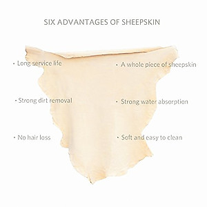 River Lake Chamois Drying Cloth Car Drying Towel Real Leather Super Absorbent Fast Drying Natural Chamois Car Wash Cloth Accessory (17.7" x 23.6")