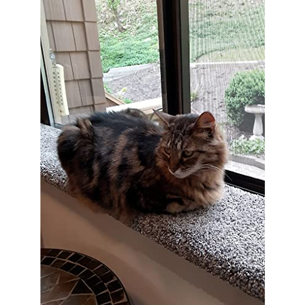 PURRCHED Cat Perch, Carpeted Cat Window Perch, Cat Bed, Cat Seat, Made in The USA, Sturdy, Safe and Easy to Install.