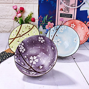 LMRLCS Japanese Rice Bowls and Chopstick set of 4 with Delicate Box