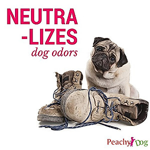 DogWash Oatmeal Pet Shampoo Deeply Cleans & Detangles, Soothes Skin Irritations That Cause Excessive Licking, Chewing & Scratching, Moisturizes & Rejuvenates Skin, Neutralizes Odors & Removes Dander