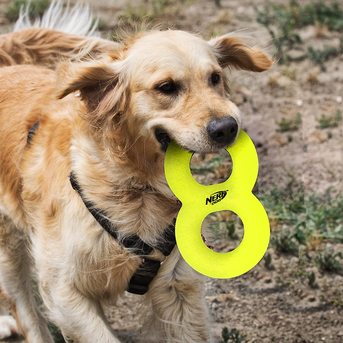 Nerf Dog Max Court Infinity Tug Dog Toy with Interactive Squeaker, Lightweight, Durable and Water Resistant, 8.7 Inches, For Medium/Large Breeds, Single Unit, Green/Blue