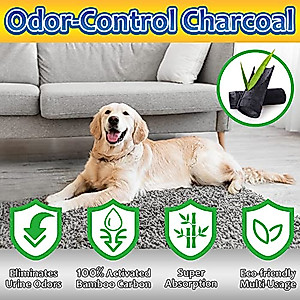 Dogcator Charcoal Puppy Pads Extra Large 28“x34”, 30 Count Activated Carbon Dog Pee Pads, X-Large Potty Pads for Dogs, Disposable Puppy Pads Pet Training Pads