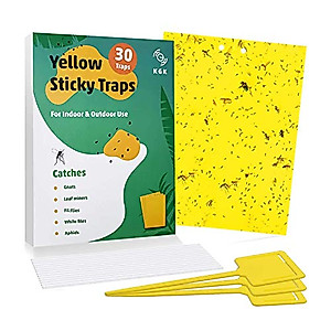 KGK Sticky Traps - 30 Pack, Dual-Sided Yellow Sticky Traps for Fungus Gnats, Aphids, and Other Flying Plant Insects - 6x8 Inches (Twist Ties and Holders Included)