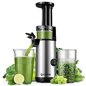 Compact GDOR Masticating Juicer with Powerful 60NM DC Motor, Low Noise, Space-Saving Cold Press Juice Exrtractor Machines, Easy to Clean Slow Juicer, Brush Included, 20 Oz Juice Cup, BPA-Free, Sliver
