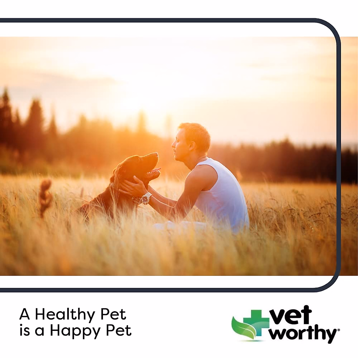 Vet Worthy Joint Support Level 2 | Eases Joint Stiffness Due to Normal Daily Exercise and Activity | Dog Supplement with Glucosamine, Chondroitin, Vitamin C, MSM | Liver Flavor Soft Chews 30 Count