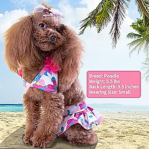 KYEESE Dogs Bikini for Small Dogs Floral Dog Beach Swimsuit Dog Tutu Dresses Dogs Clothes for Summer, Floral, L