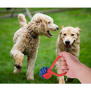 Deetenks 5 Pack Dog Chew Rope Toys Puppy Toys Sets Interactive Dog Toys Rope Toys Dog Teething Chew Toys for Dog (Random Color)