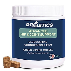 Advanced Hip & Joint Supplements for Dogs, USA Made with Glucosamine & Green Lipped Muscle for Mobility Health, 60ct