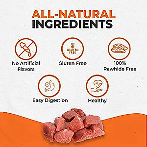 Canine Naturals Beef Chew - Rawhide Free Dog Treats - Made with Real Beef - Poultry Free Recipe - All-Natural and Easily Digestible - 40 Pack of 5 Inch Stick Chews