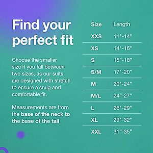 PupShield - Dog Surgery Recovery Suit for All Dog Sizes - Easy Use Anti Lick - Spay & Neuter Recovery Suit, Surgical Onesie for Dogs - Dog Cone Alternative (Blue, Small (Weight:24-35 LBS))