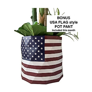 Deluxe 78" Golden Cane Palm Artificial Tree + Premium Fiddle Leaf Foliage in 8" Base + 12" Plant Pot Skirt + Bonus USA Flag Style Pot Pant