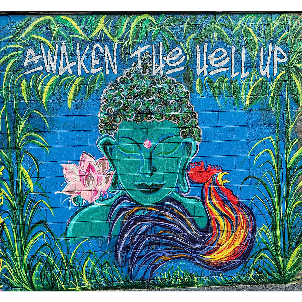 Wake The Hell Up! 12oz Ultra-Caffeinated Blueberry Ground Coffee, Low Acid, Medium-Dark Roast