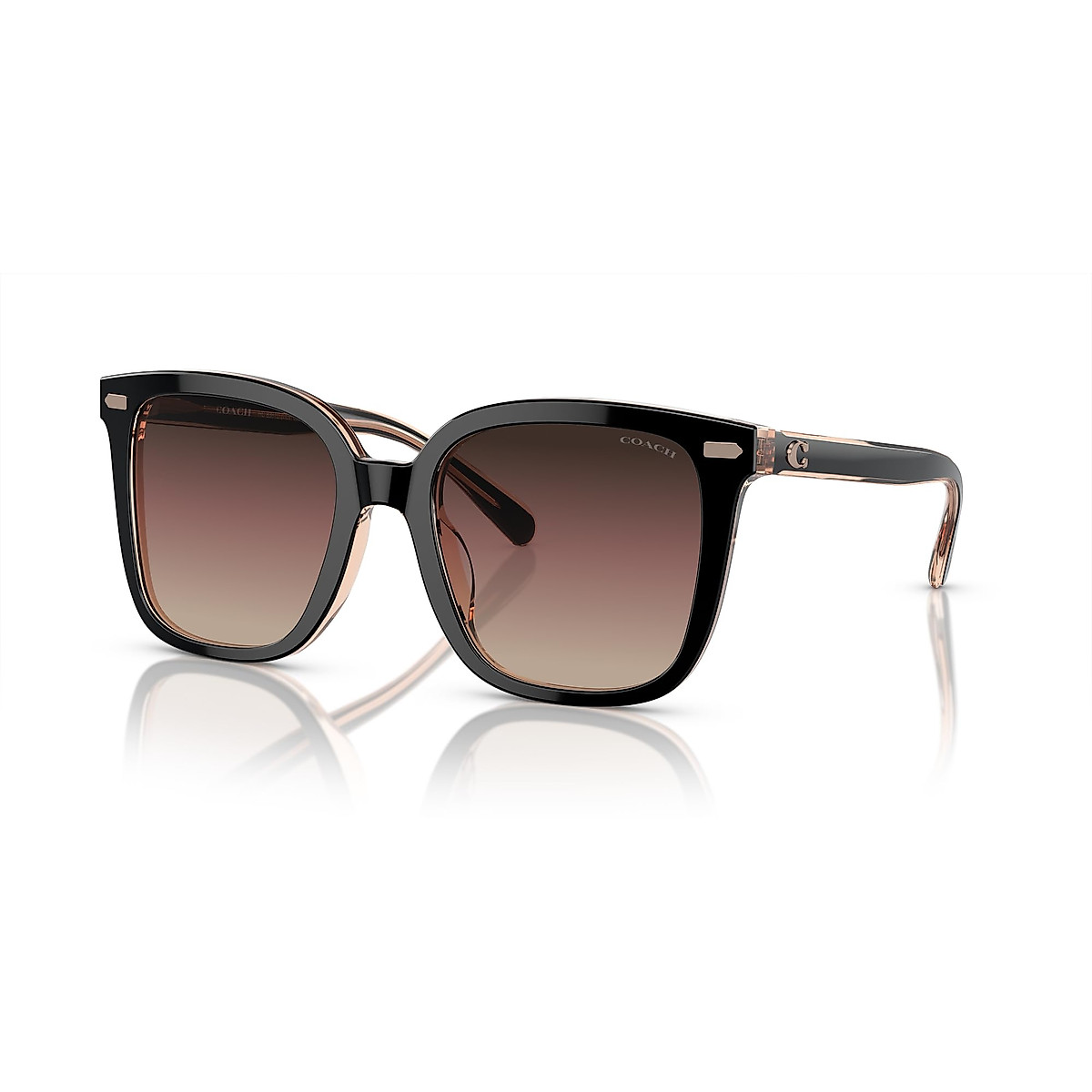 Coach HC8381U Universal Fit Sunglasses, Black/Transparent Blush/Brown Purple Grey Gradient, 54 mm