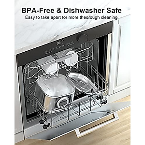 NautyPaws Cat Water Fountain, 3.2L/108oz Automatic Stainless Steel Pet Fountain Dog Water Dispenser with Super Quiet&Transparent Window Design- Ideal for Cats, Dogs and Multiple Pets - Dishwasher Safe