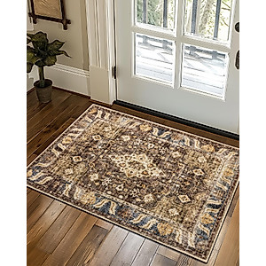 CALORGAN 2x3 Rug, Washable Small Area Rug Front Door Mat Indoor Entrance Mats for Home Decor, Non Slip Indoor Door Mat for Entryway Bedroom Kitchen Bathroom, Brown
