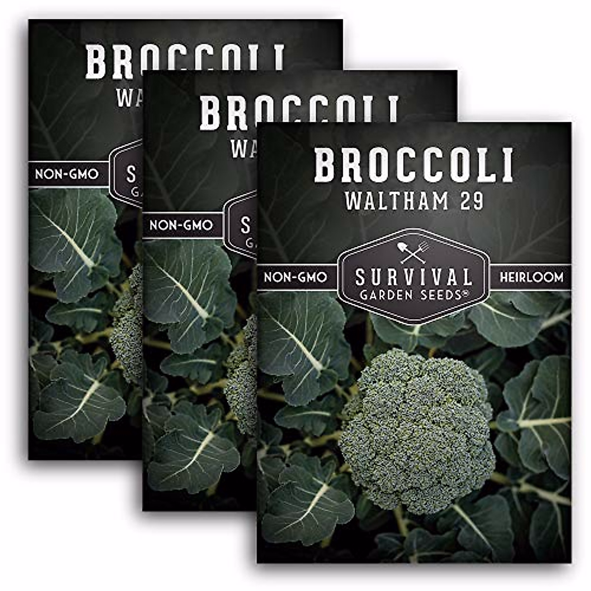 Waltham 29 Broccoli Seed for Planting - Packet with Instructions to Plant & Grow Cool Weather Broccoli in Your Home Vegetable Garden - Non-GMO Heirloom Variety - Survival Garden Seeds - 3 Pack