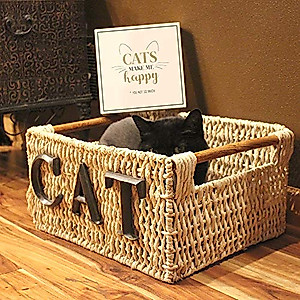 Lillian Rose Cat Lover Gift Sign with Funny Saying, 2"x7.5", White