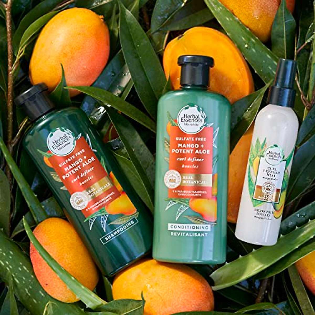 Herbal Essences Bio: Renew Potent Aloe + Mango Conditioner for Curly Hair 13.5 Fl Oz, 5.523 Fl Oz