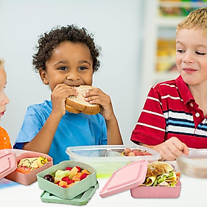 Voittozege 8 Pc Sandwich Containers for Lunch Boxes, 14 oz Plastic Reusable Sandwich Holder with Lid, Microwave & Dishwasher Safe, Family