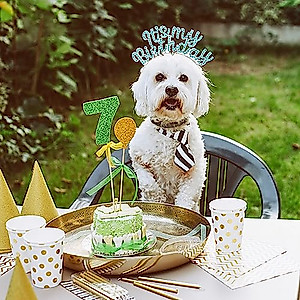 Araluky Blue Happy Birthday Crowns for Women IT'S MY BIRTHDAY Alloy Headband with Its My Birthday Sash and Tiara for Women Birthday Headband Tiaras for Women Girls Parties Favors Costume Birthday Gift