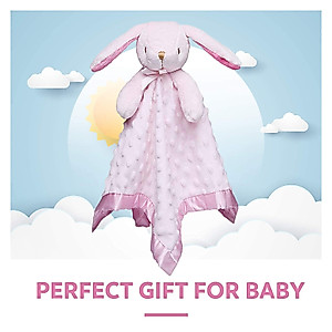 Pro Goleem Bunny and Bear Security Blanket, 16''