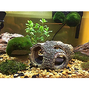 hygger Betta Log Resin Hollow Tree Trunk Ornament, Betta Fish Accessories, Aquarium Decorations Wood House Small and Medium Fish Tank Decor, with Holes for Small Fish Pets to Swim Through (Tree Trunk)