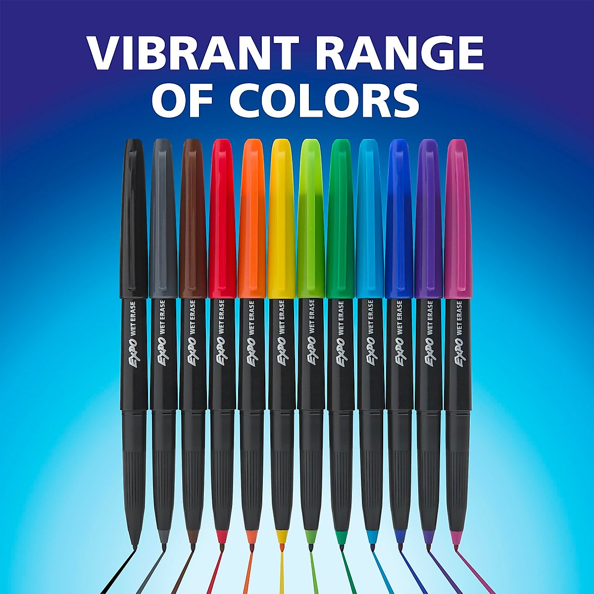 EXPO Vis-à-Vis Wet Erase Markers, Fine Point, Assorted Colors, 12 Count