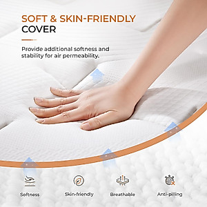 Sweetnight Twin XL Mattress,12 Inch Hybrid Mattress with Individual Pocketed Coils for Pressure Relief & Motion Isolation, Nimbus