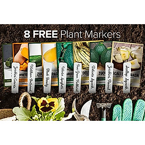 8 Squash Seeds for Planting Individual Packets - Zucchini, Delicata, Butternut, Spaghetti, Scallop, Caserta, Round and Hubbard for Your Non GMO Heirloom Vegetable Garden by Gardeners Basics