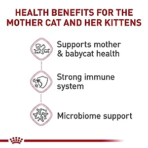 Royal Canin Feline Health Nutrition Mother & Babycat Dry Cat Food for Newborn Kittens and Pregnant or Nursing Cats, 6 lb Bag