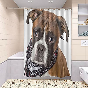4 Piece Shower Curtain Sets with Non-Slip Rugs, Toilet Lid Cover and Bath Mat, Dogs Boxer Handkerchief Neck Gray Watercolor PeacockShower Curtain with 12 Hooks Durable Waterproof Shower Curtain