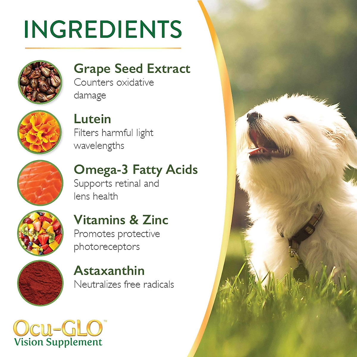 Ocu-GLO PB Vision Supplement for Medium & Large Dogs – Easy to Administer Powder Blend with Lutein, Omega-3 Fatty Acids, Grape Seed Extract & Antioxidants to Promote Eye Health, 90ct Powder Capsules