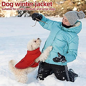 Yagamii Dog Winter Coat Waterproof Dog Jacket Cold Weather Warm Clothes Cozy Fleece Lining, Pet Apparel Sweater for Small Medium Large Dogs Dog Reflective Vest Puppy Clothes with Leash Hole(XS-XXL)