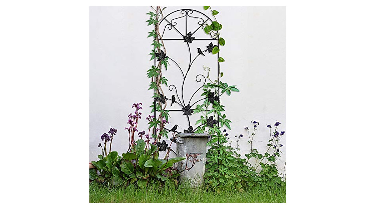Sturdy Metal Garden Trellis for Climbing Plants