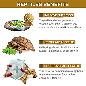 Gargeer 2oz Desert/Grassland Tortoise Food Supplement, Flower Salad Mix Topper. Supercharge Appetite, Health & Immune System. Complete Diet, Rich with Vitamins, Made in The USA. Enjoy!