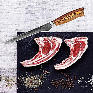 Jasni 6 Inch Boning Knife- Super Sharp VG-10 Damascus Steel Boning Knife, 76 Layers High Carbon Steel & Comfortable Wooden Handle