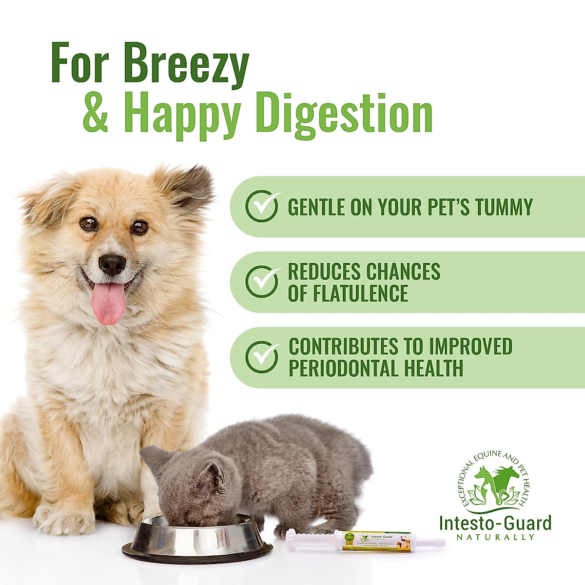 Intesto Guard Probiotics Paste 60ML/60cc Tube for Dogs & Cats Helps with Dog Diarrhea, Immune Supplements, with IgY antibodies & Made in USA