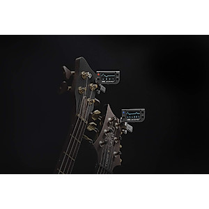 Korg Tuner (AWOTGPOLY)