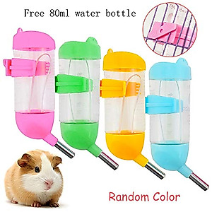 Zhang Ku 2 in 1 Small Pet Water Dispenser, with Food Container Base and 80ml Water Bottle for Bird Guinea Pig Hamster Hedgehog Chinchilla Ferret (Green)