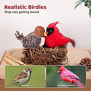 Potaroma Cat Toys Chirping Birds 2 Pcs with Catnip SilverVine, Interactive Cat Kicker, Lifelike Birdie Tweets, Indoor Kitty Kitten Exercise Toys 4.0"